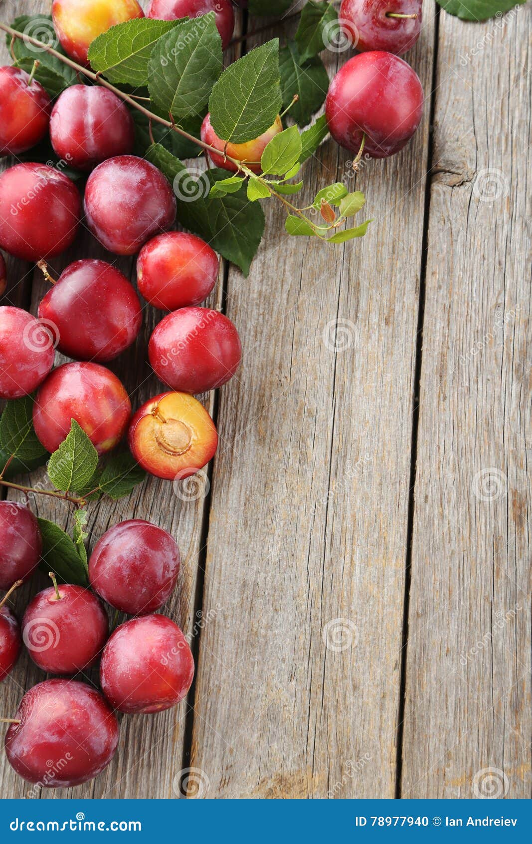 Verse Pruimen stock foto. Image of rood, gastronomisch - 78977940