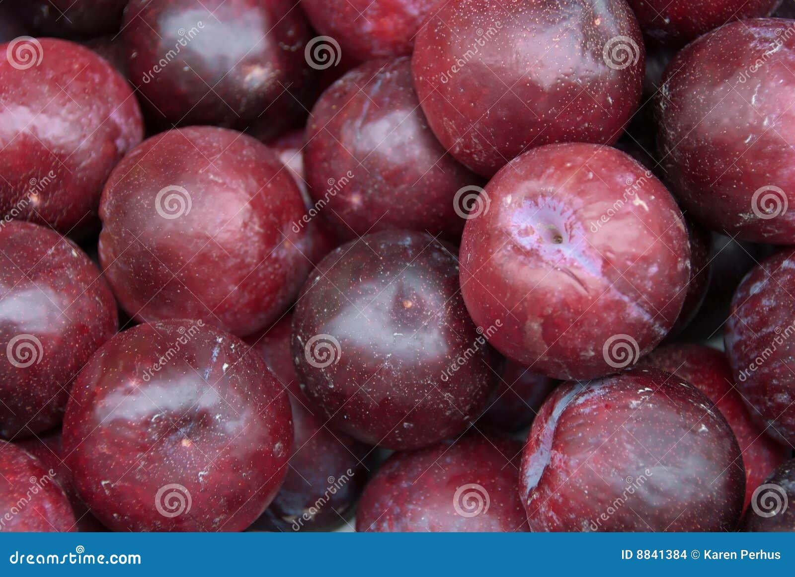 Verse Pruimen stock foto. Image of rood, vrucht, achtergrond - 8841384