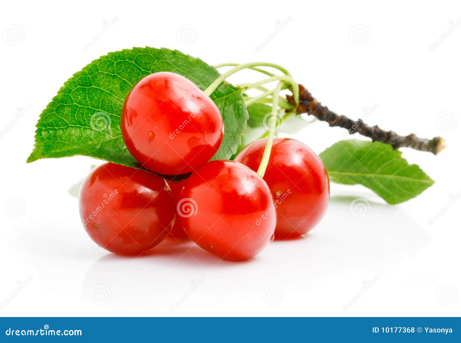 Verse Rode Kersen Met Groene Bladeren Stock Foto - Image of vers, blad ...