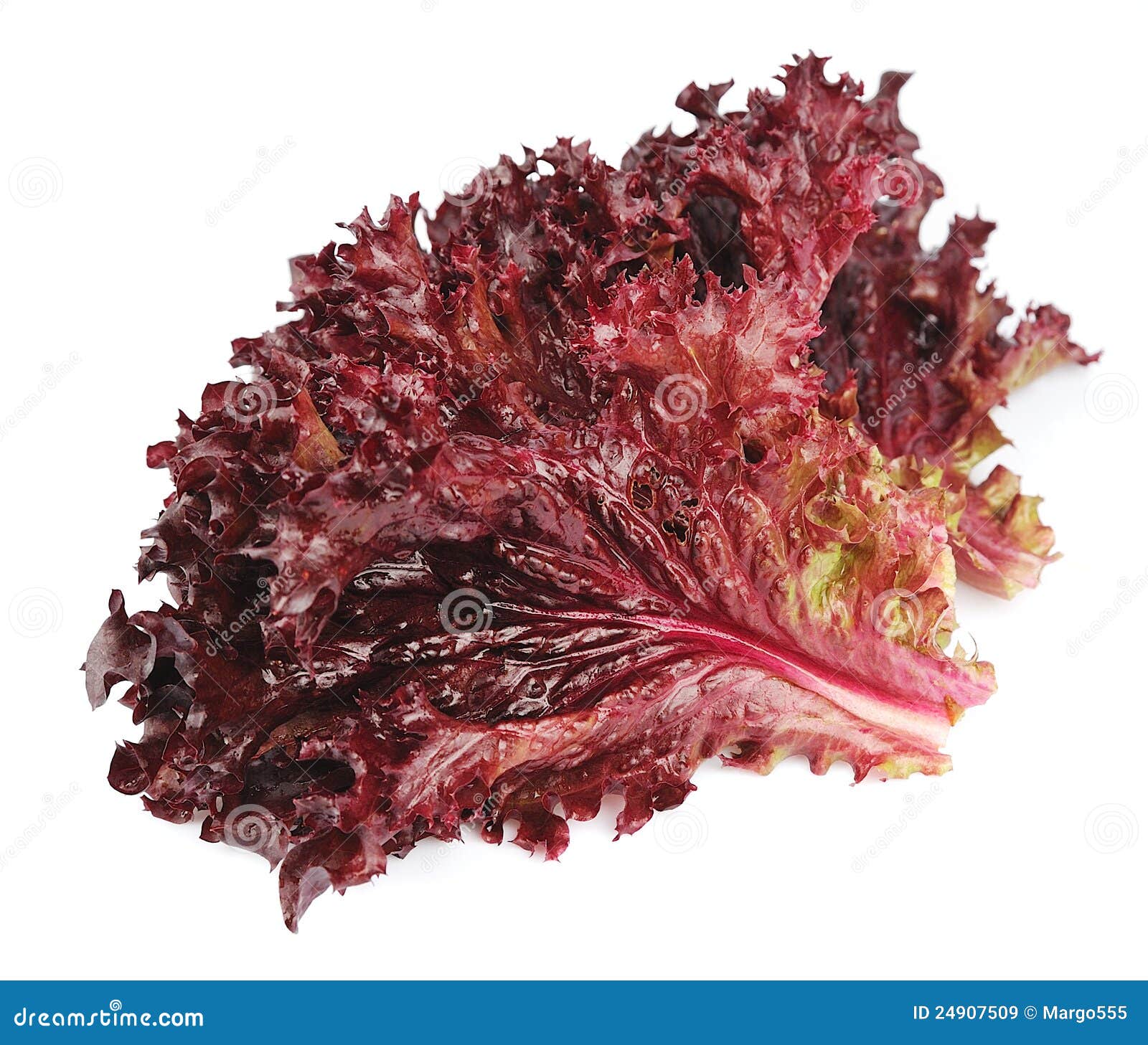 Verse rode sla stock afbeelding. Image of vitamine, voedsel - 24907509