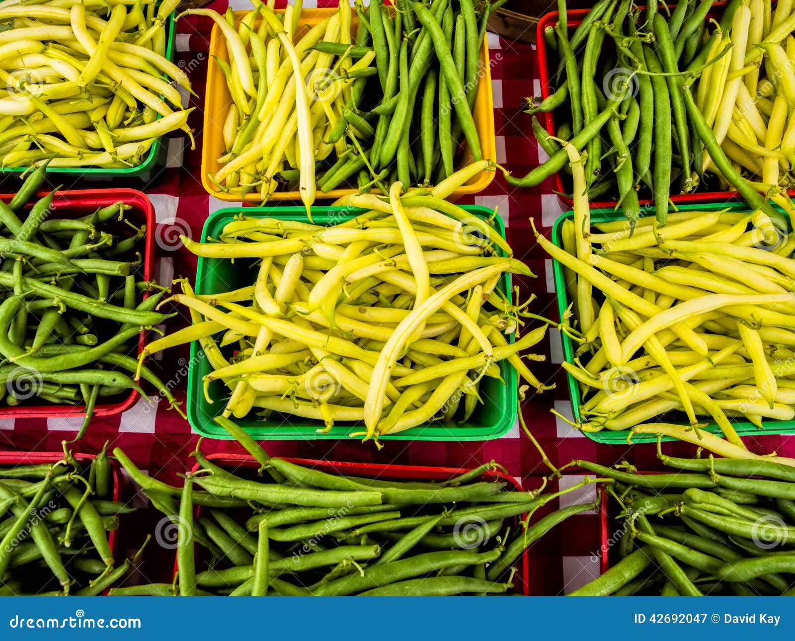 Verse snijbonen stock afbeelding. Image of landbouwbedrijf - 42692047