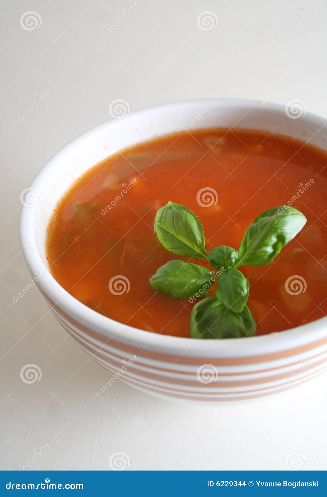 Verse soep stock foto. Image of vitaminen, rood, tomaten - 6229344