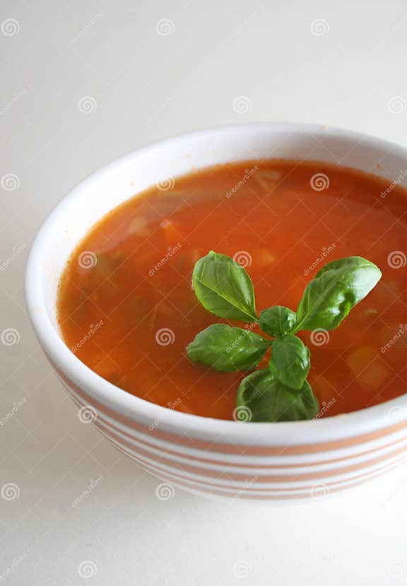 Verse soep stock foto. Image of vitaminen, rood, tomaten - 6229344