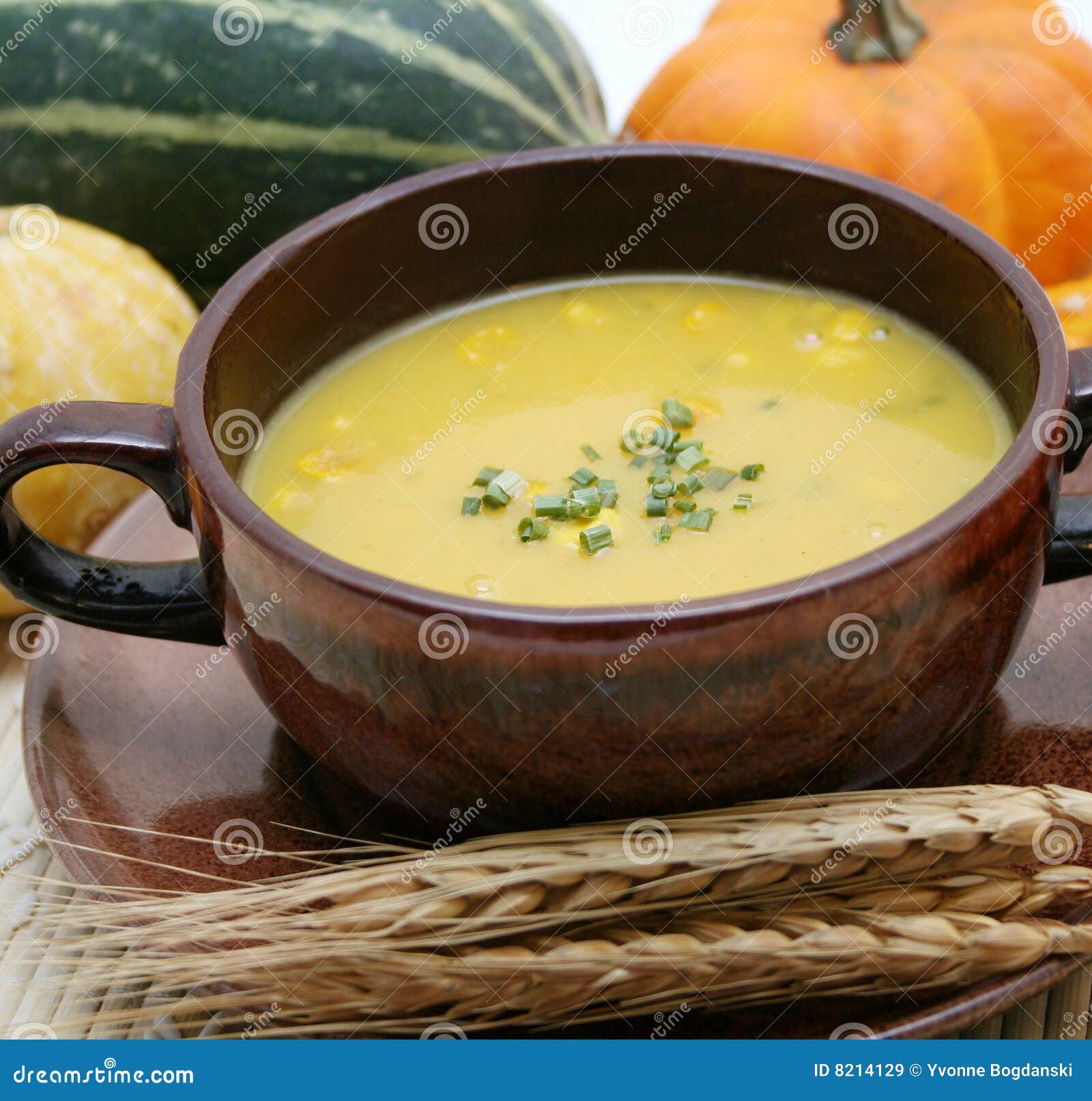 Verse soep stock afbeelding. Image of pompoen, halloween - 8214129