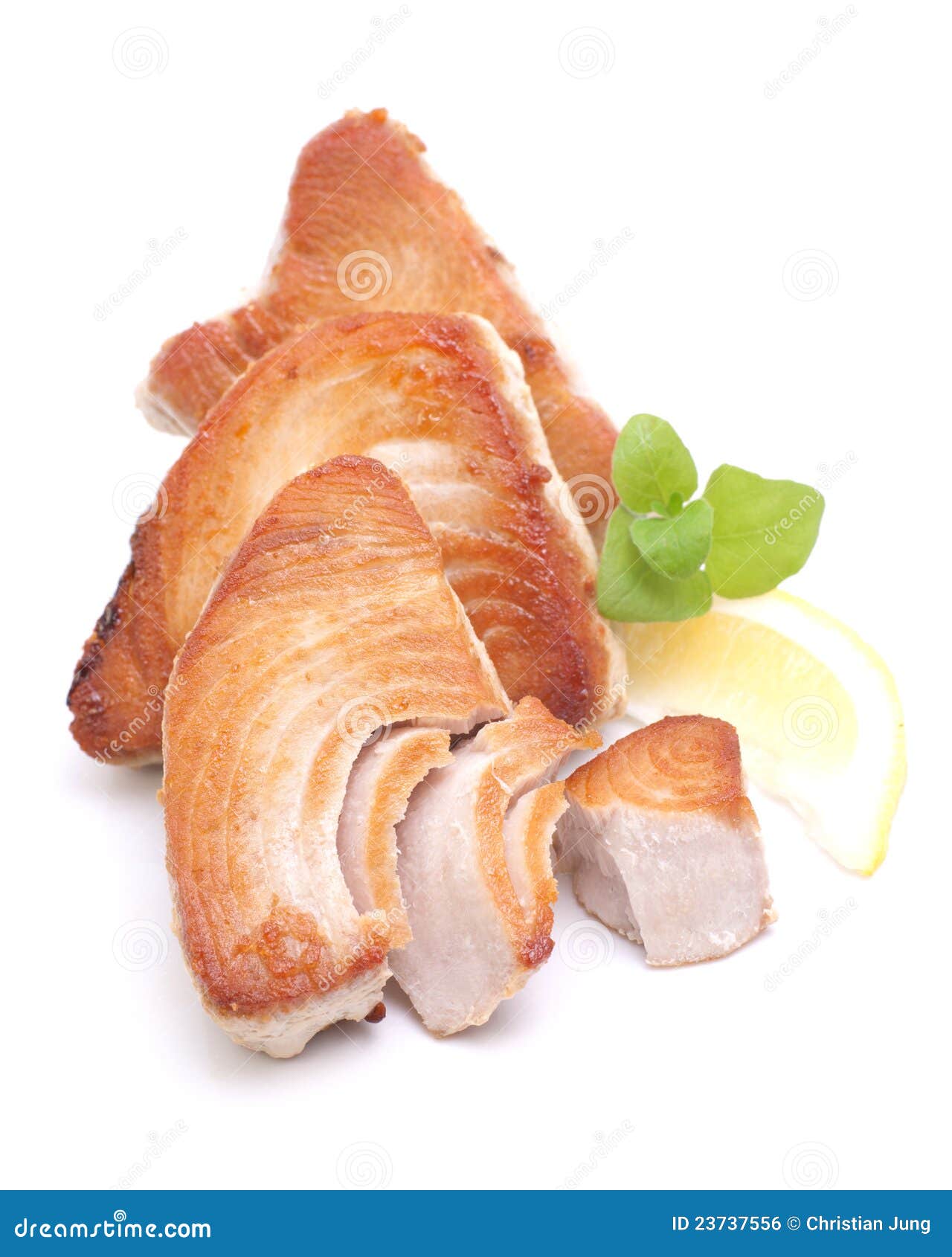 Verse tonijn stock foto. Image of zeevruchten, vers, vlees - 23737556