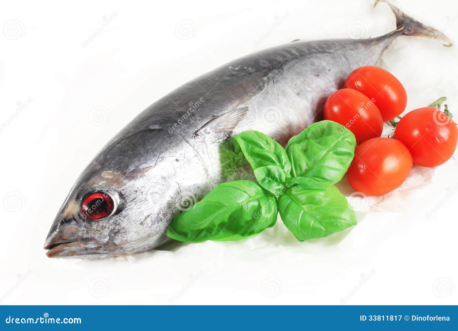 Verse tonijn stock afbeelding. Image of dier, vangst - 33811817