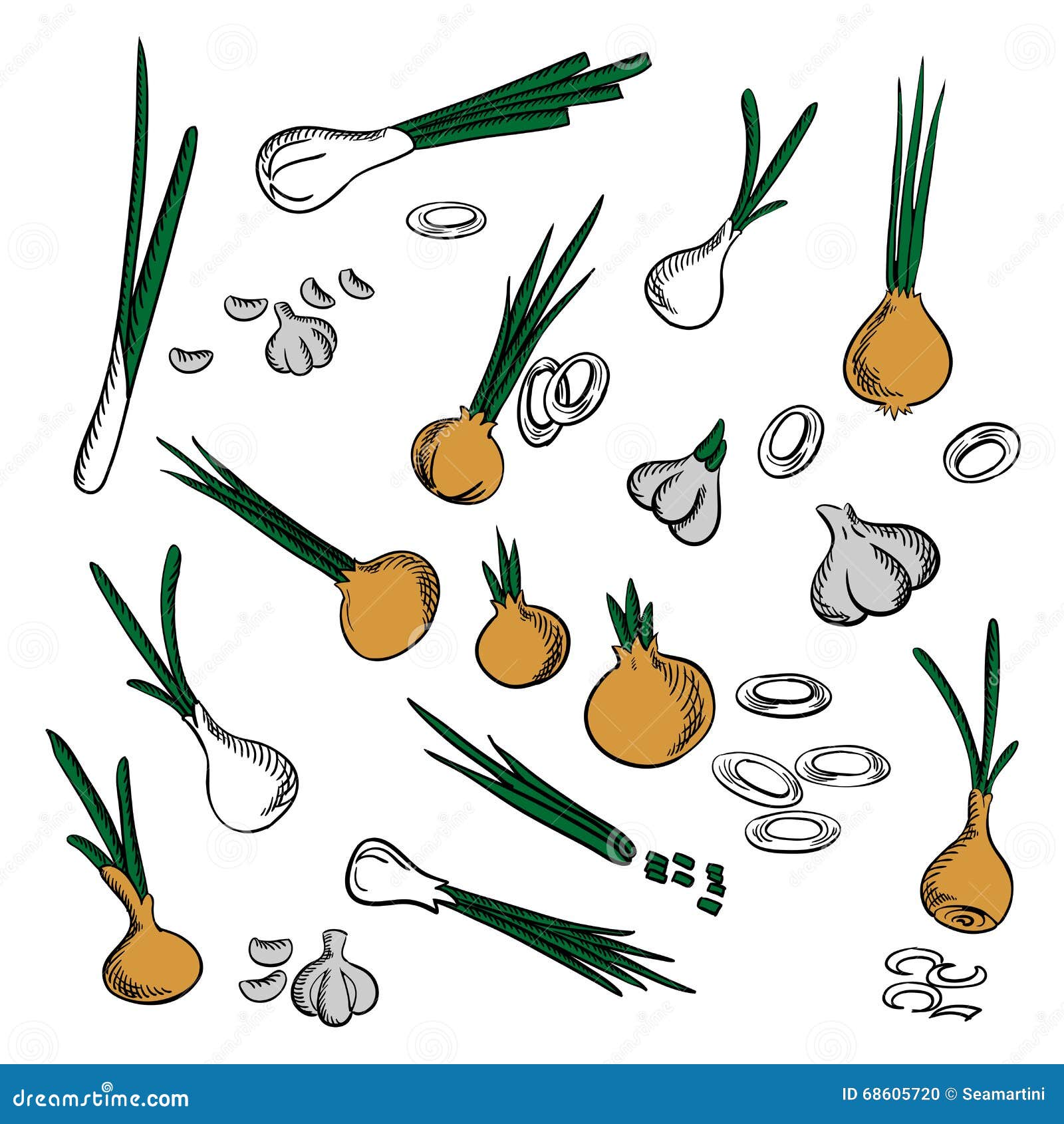 Verse Ui, Prei En Knoflookgroenten Vector Illustratie - Illustration of ...