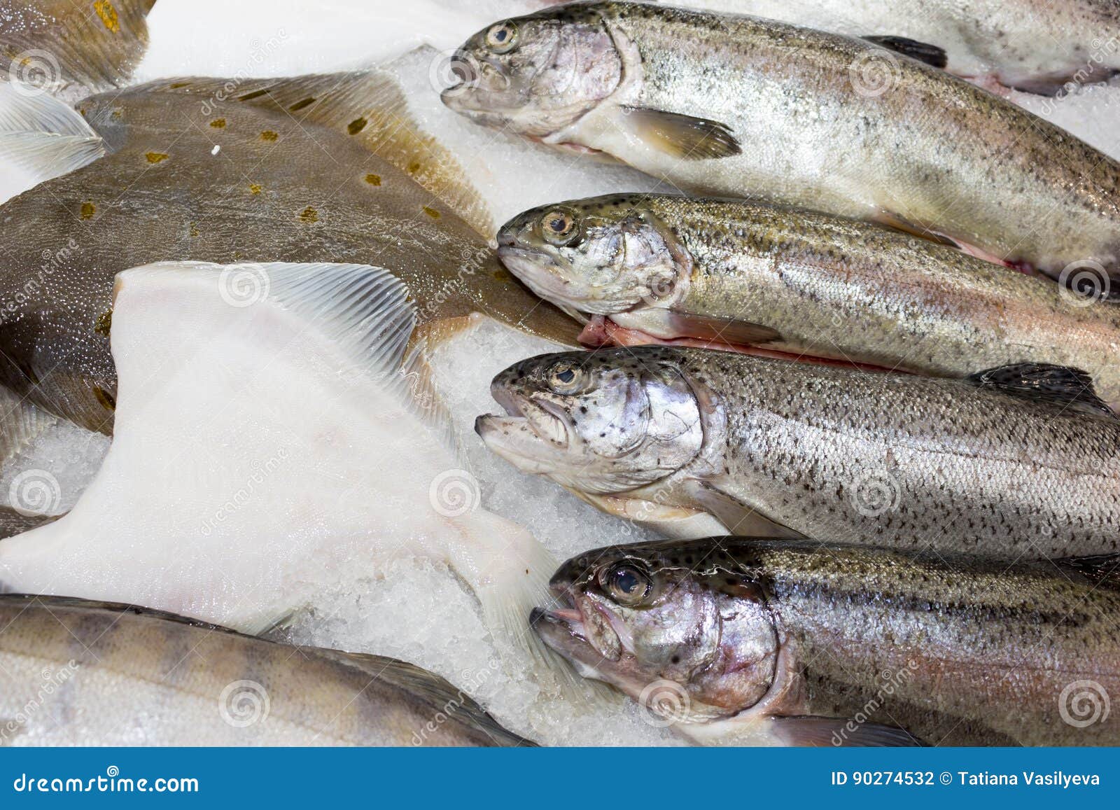 Verse Vissen in De Supermarkt Stock Foto - Image of voeding, koel: 90274532