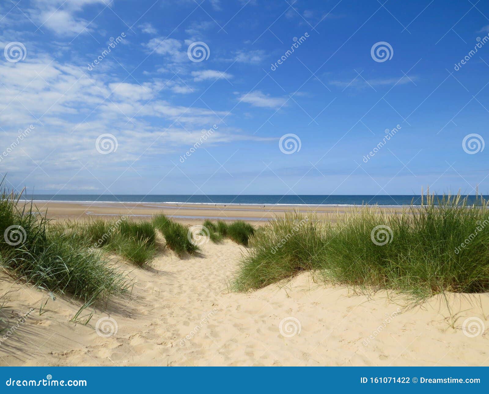 Holkham Sand Dunes, Norfolk Stock Photo - Image of england, north ...