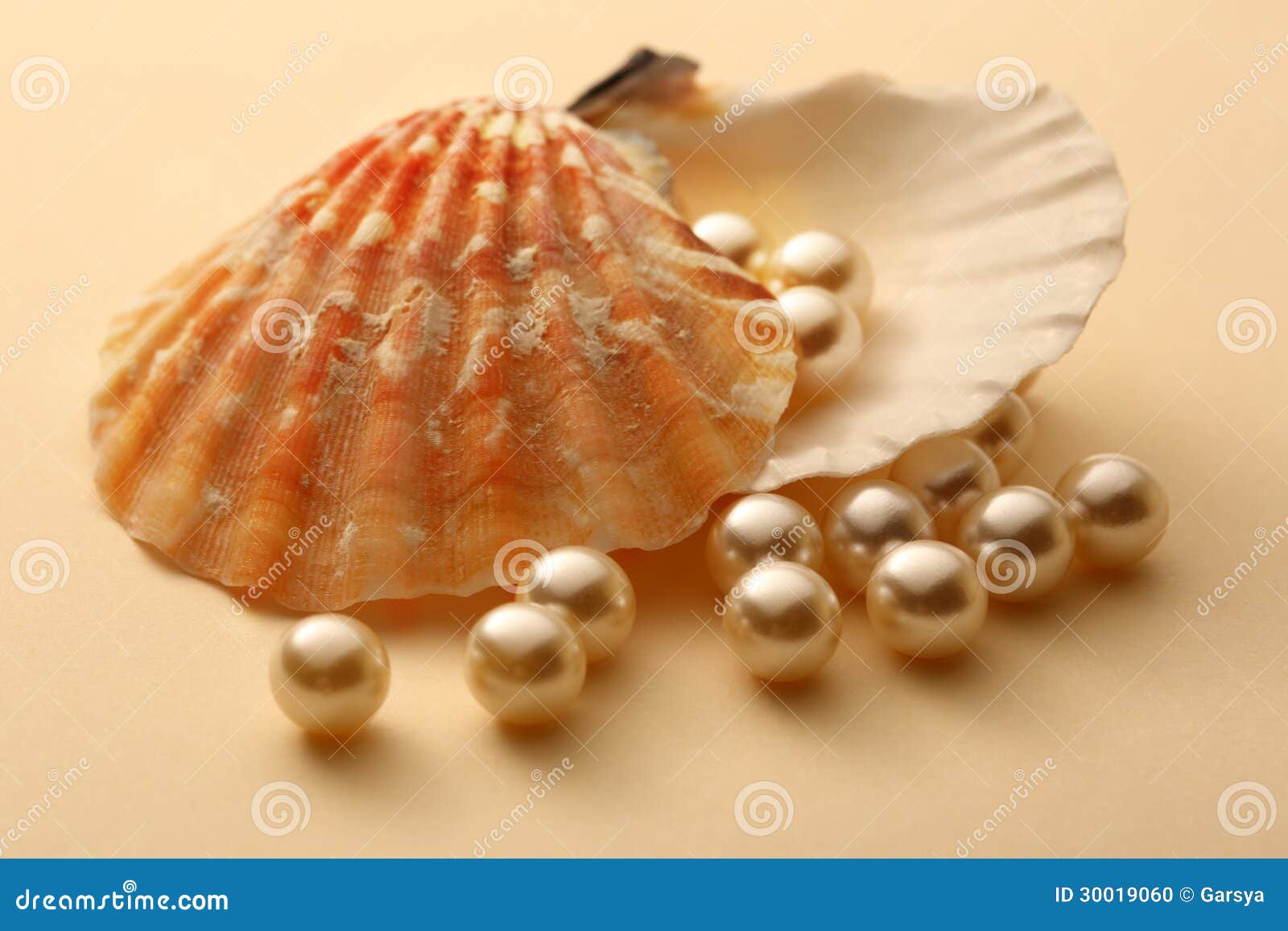 Witte parels in zeeschelp stock foto. Image of gebied - 30019060