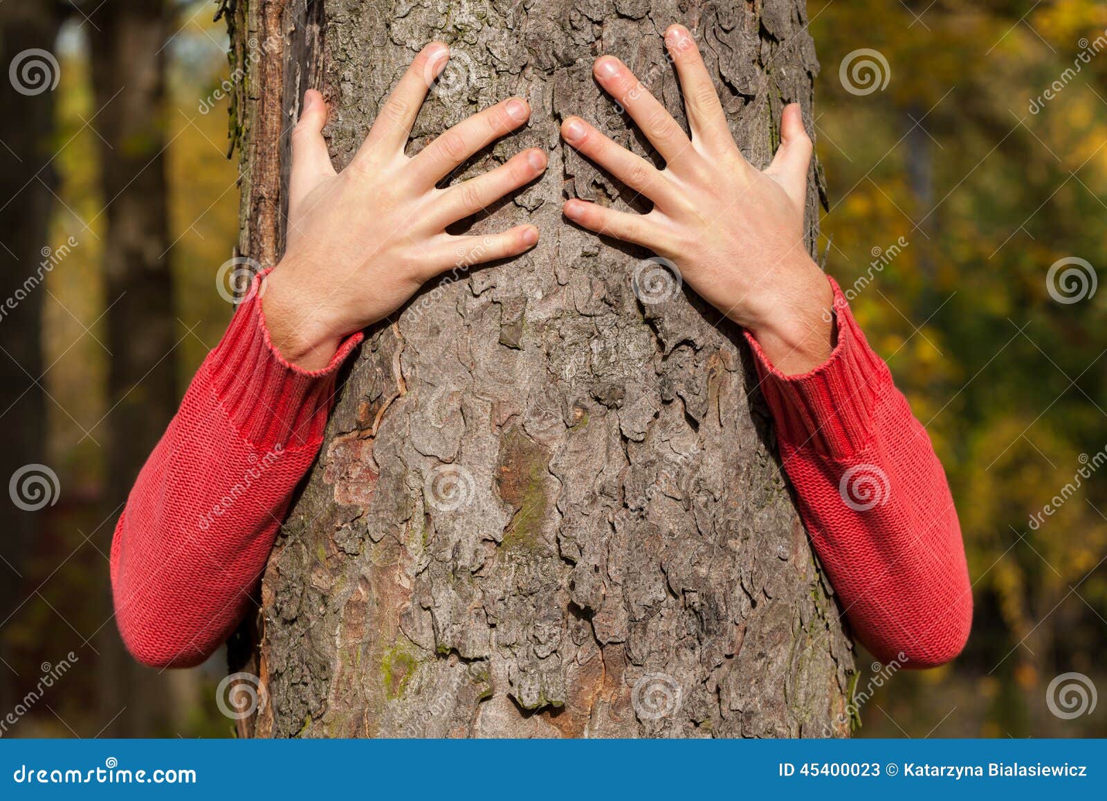 Verstecken hinter dem Baum stockbild. Bild von frisch - 45400023