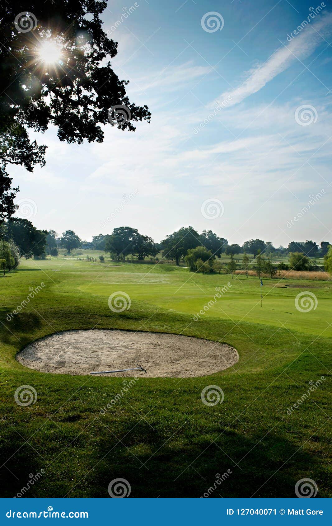 Vert De Terrain De Golf, Soleil De Soute Et Arbre Image stock - Image ...