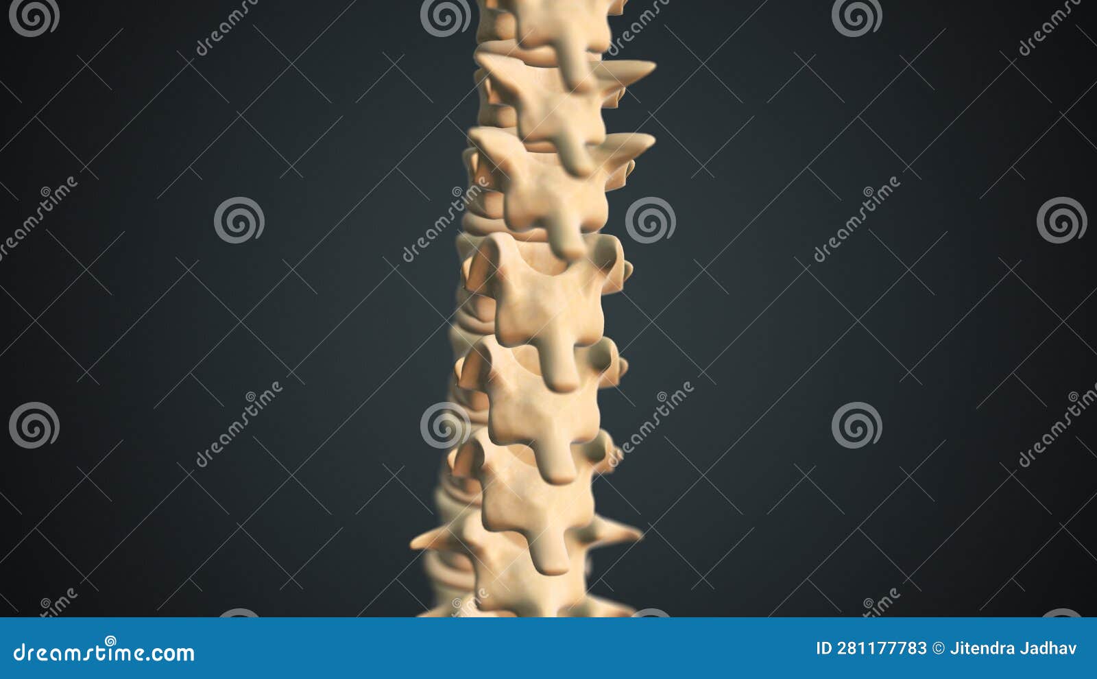 Vertebral Column Medical 3D Illustration Stock Illustration ...