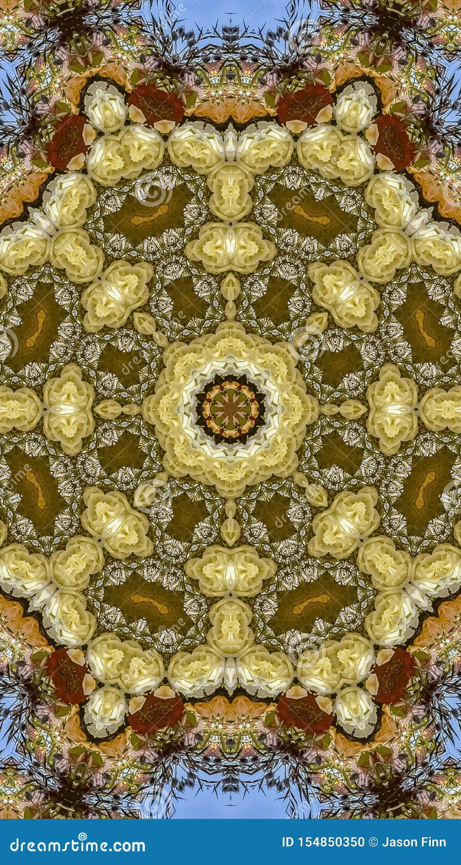 Vertical Abstract Angular Field of Flowers in Circular Arrangement at ...