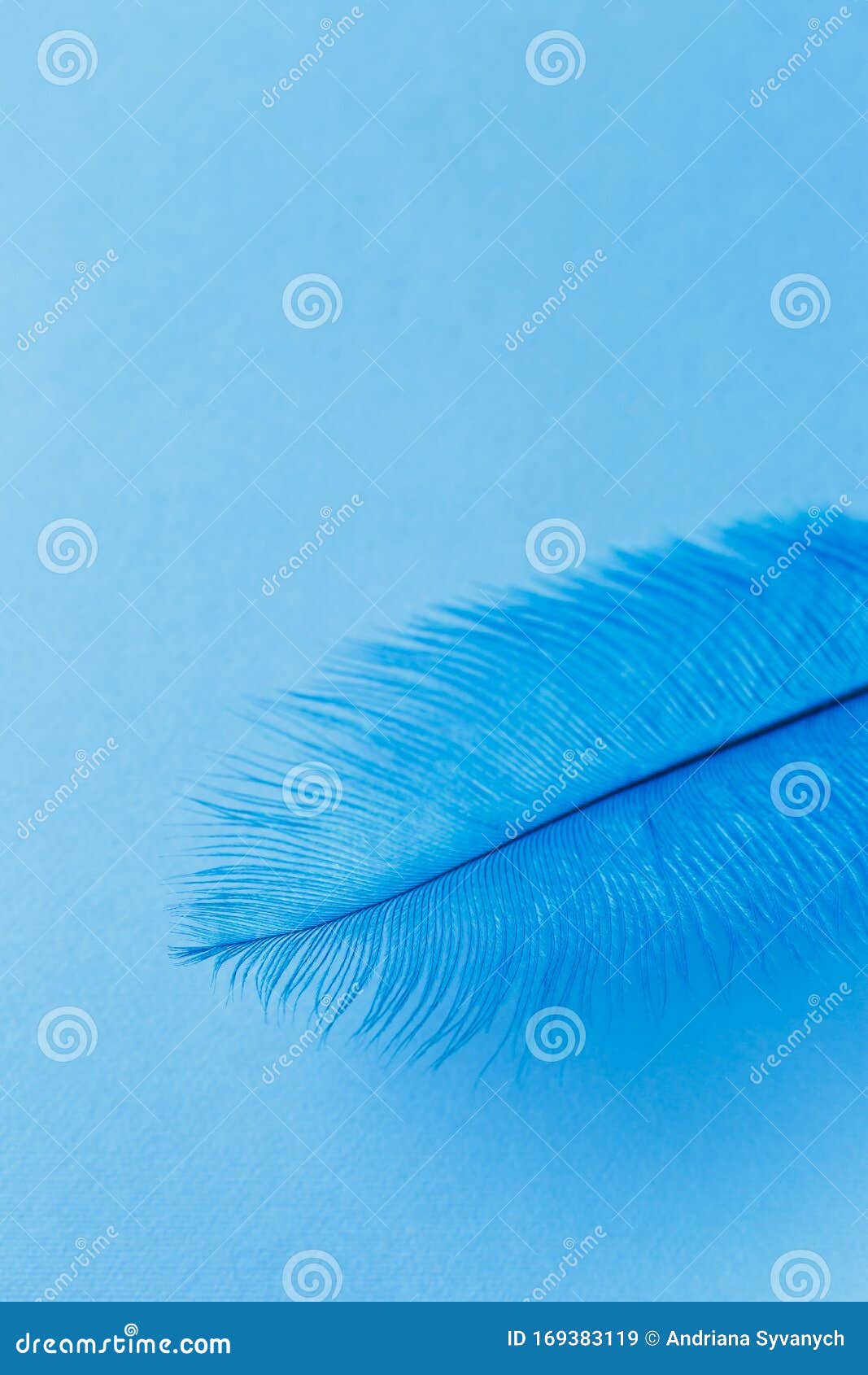 Abstract Background with Fluffy Blue Feather Stock Image - Image of ...