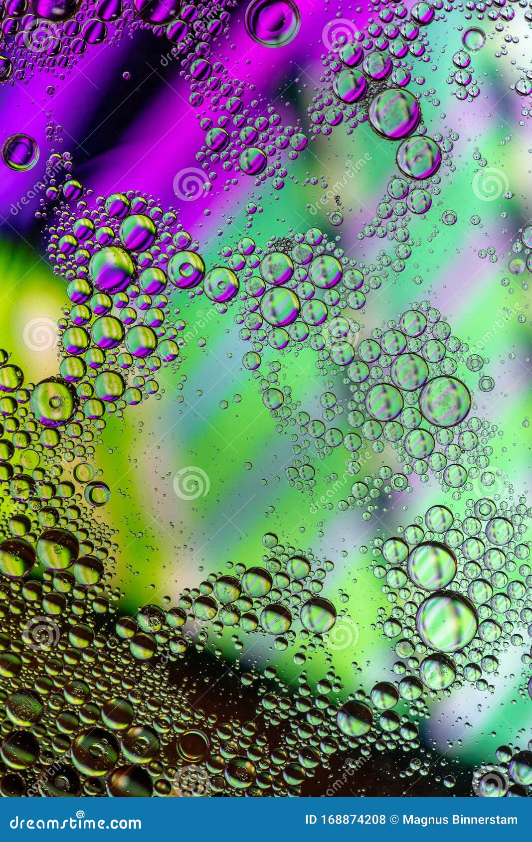 Vertical Abstract Background of Green and Pink Bubbles Stock Photo ...
