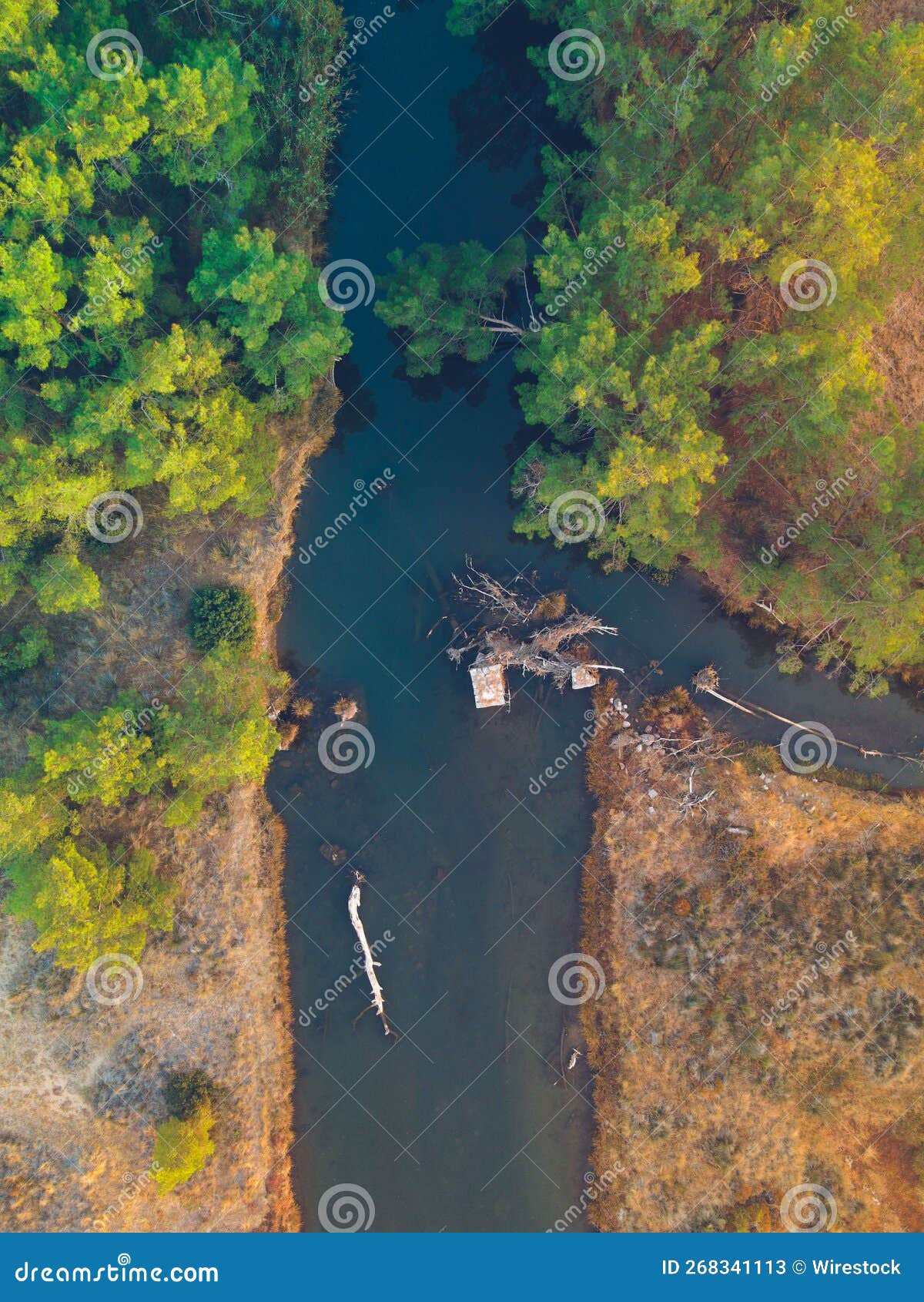 Vertical Aerial Shot of a River Junction with Some Logs Stuck. Stock ...
