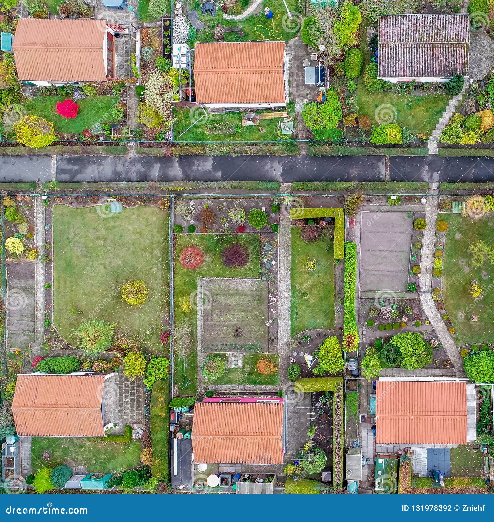 View Into A Allotment Gardens, Hedges Left And Right, Roof Of Tiny ...