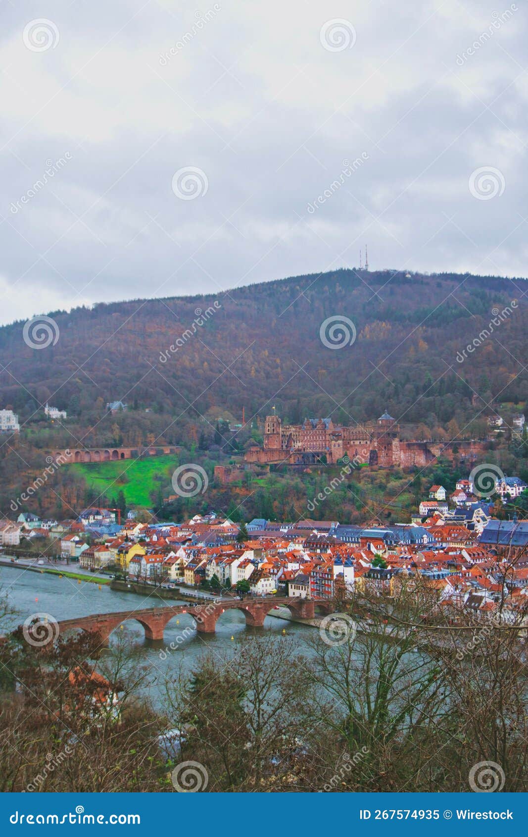 Vertical Aerial View of the Beautiful Historic Skyline of Heidelberg ... Vertical Aerial View of the Beautiful Historic Skyline of Heidelberg ...