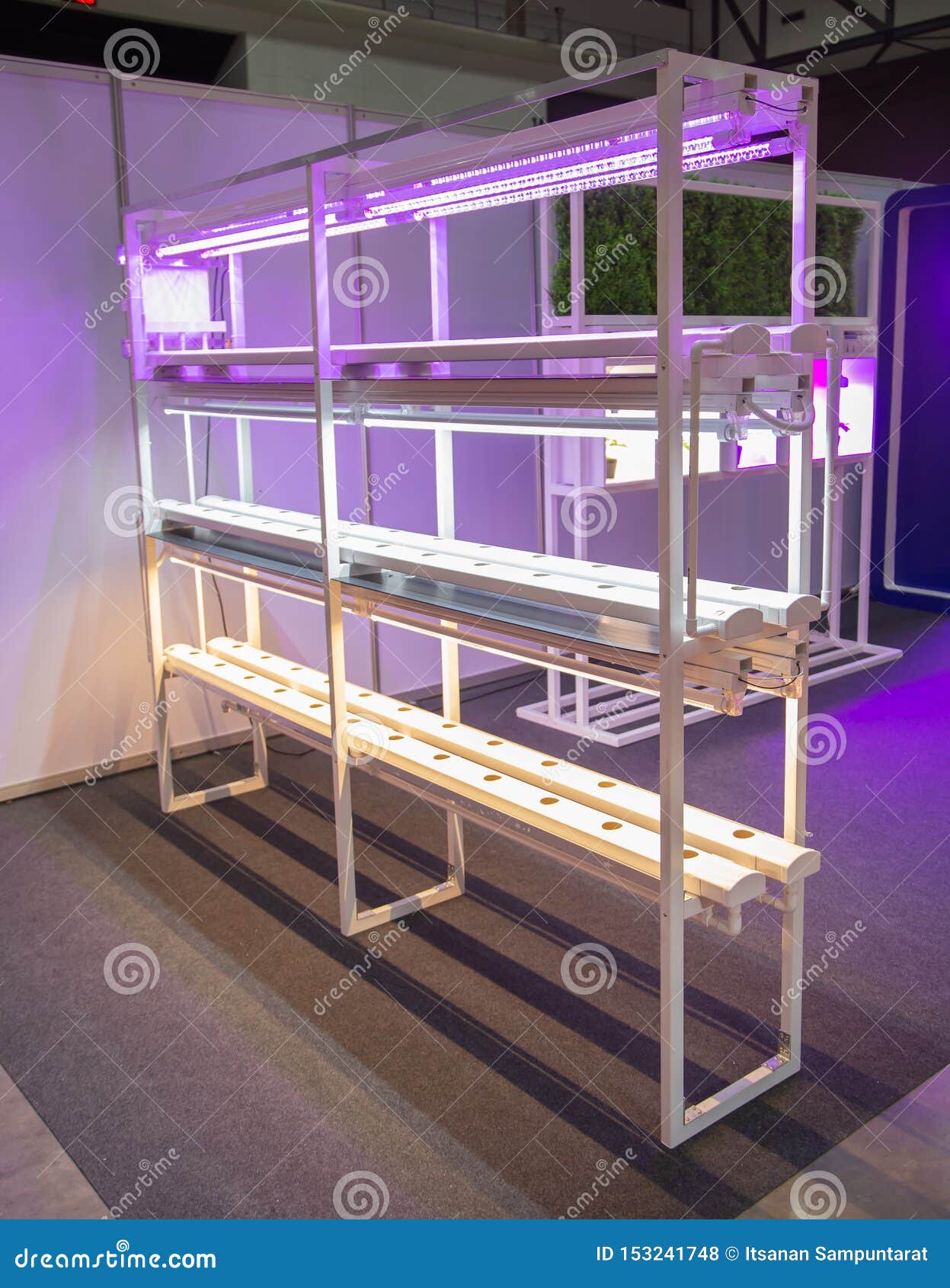 Artificial LED Lighting for Planting Stock Photo - Image of atmosphere ...