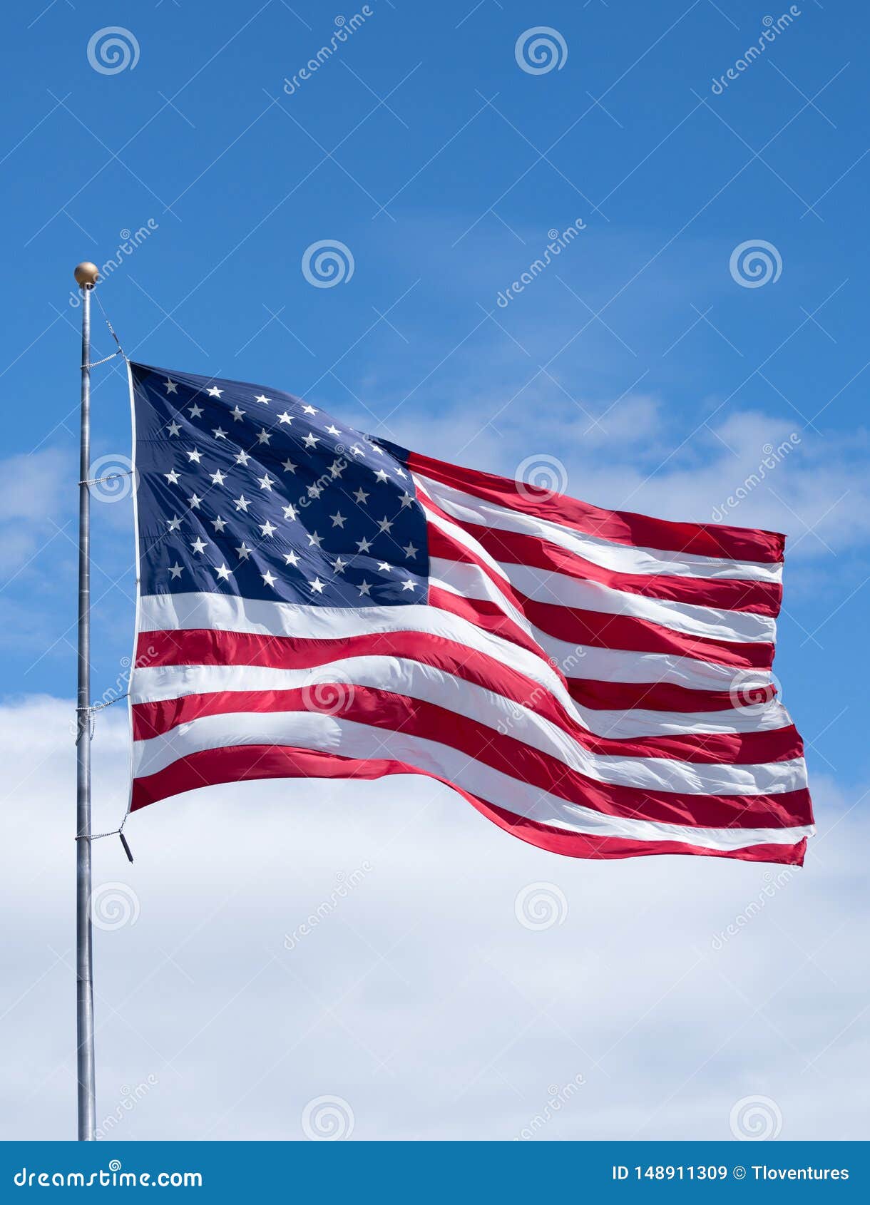 Vertical American Flag Waving
