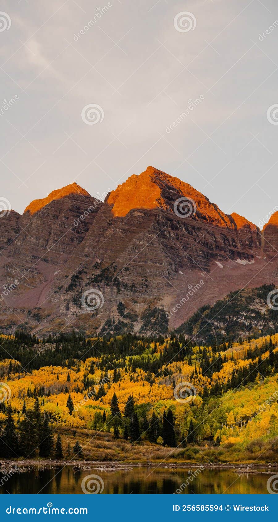 Vertical of an Autumn Forest with Mountains in the Background. Stock ...