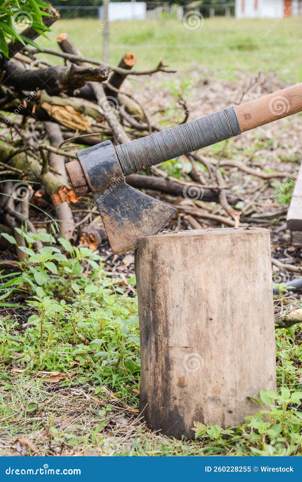 Vertical of an Axe Stuck in a Log Captured during Wood Cutting Stock ...