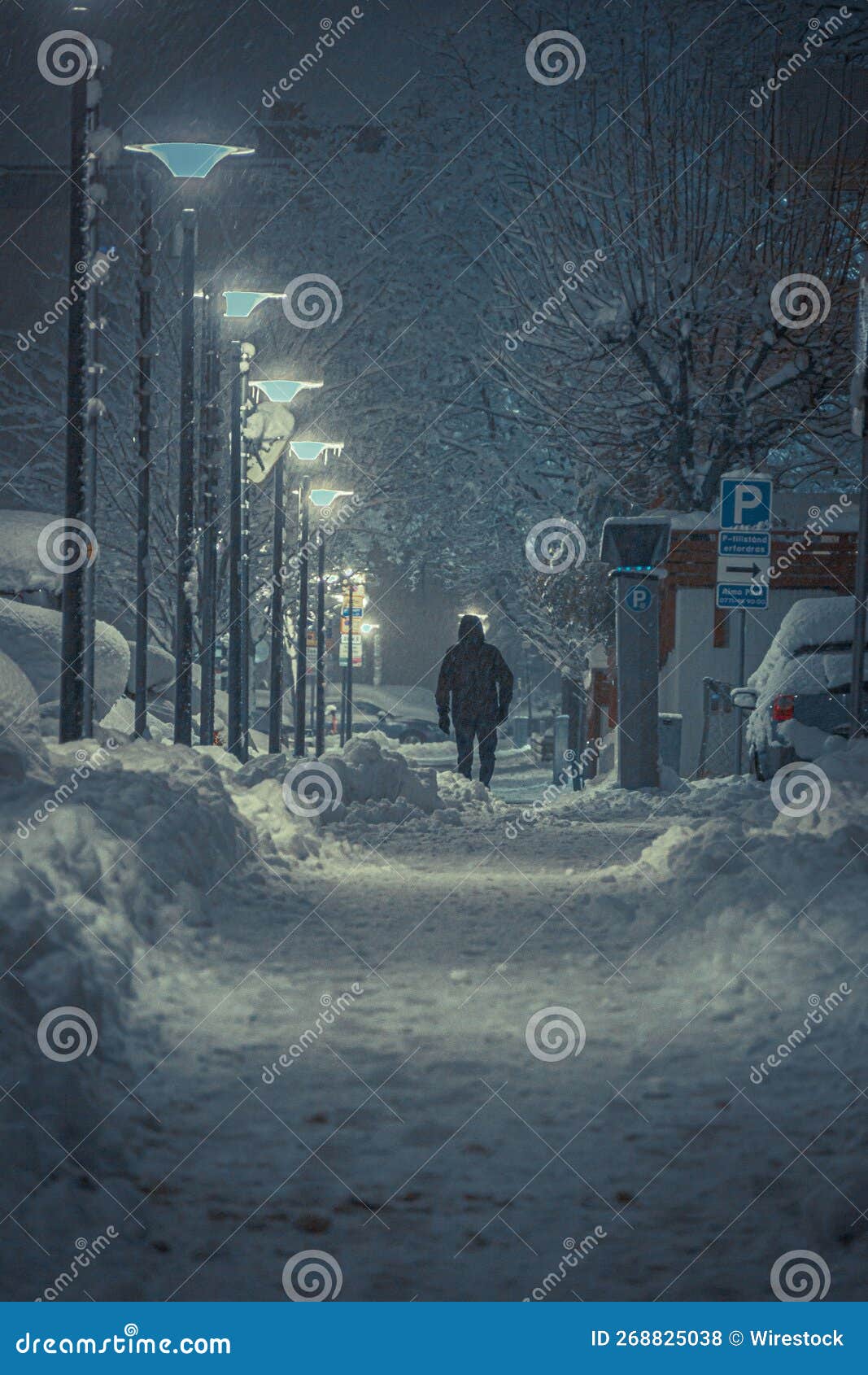 Vertical Back View of a Pedestrian Walking on the Sidewalk during ...