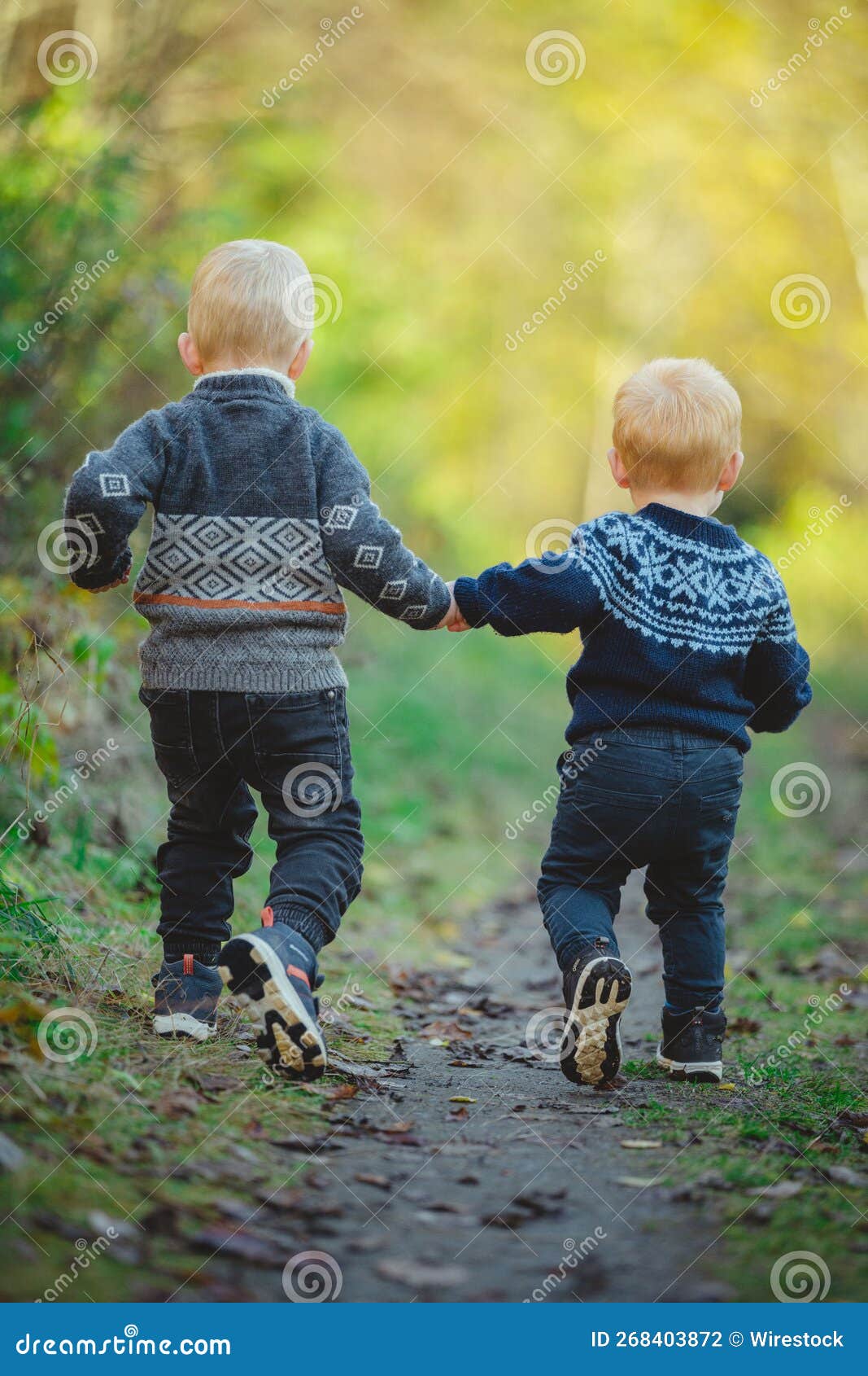 Vertical Back View of Two Kids Walking on a Trail in a Forest Stock ...