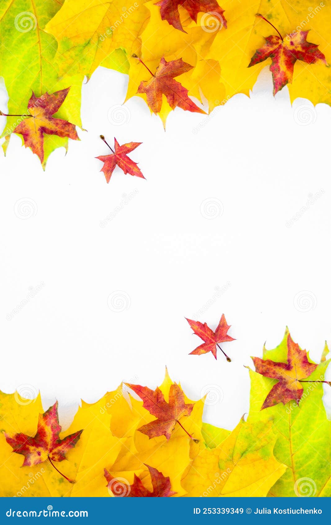 Vertical Background of Many Yellow Maple Leaves with Space for Text on ...