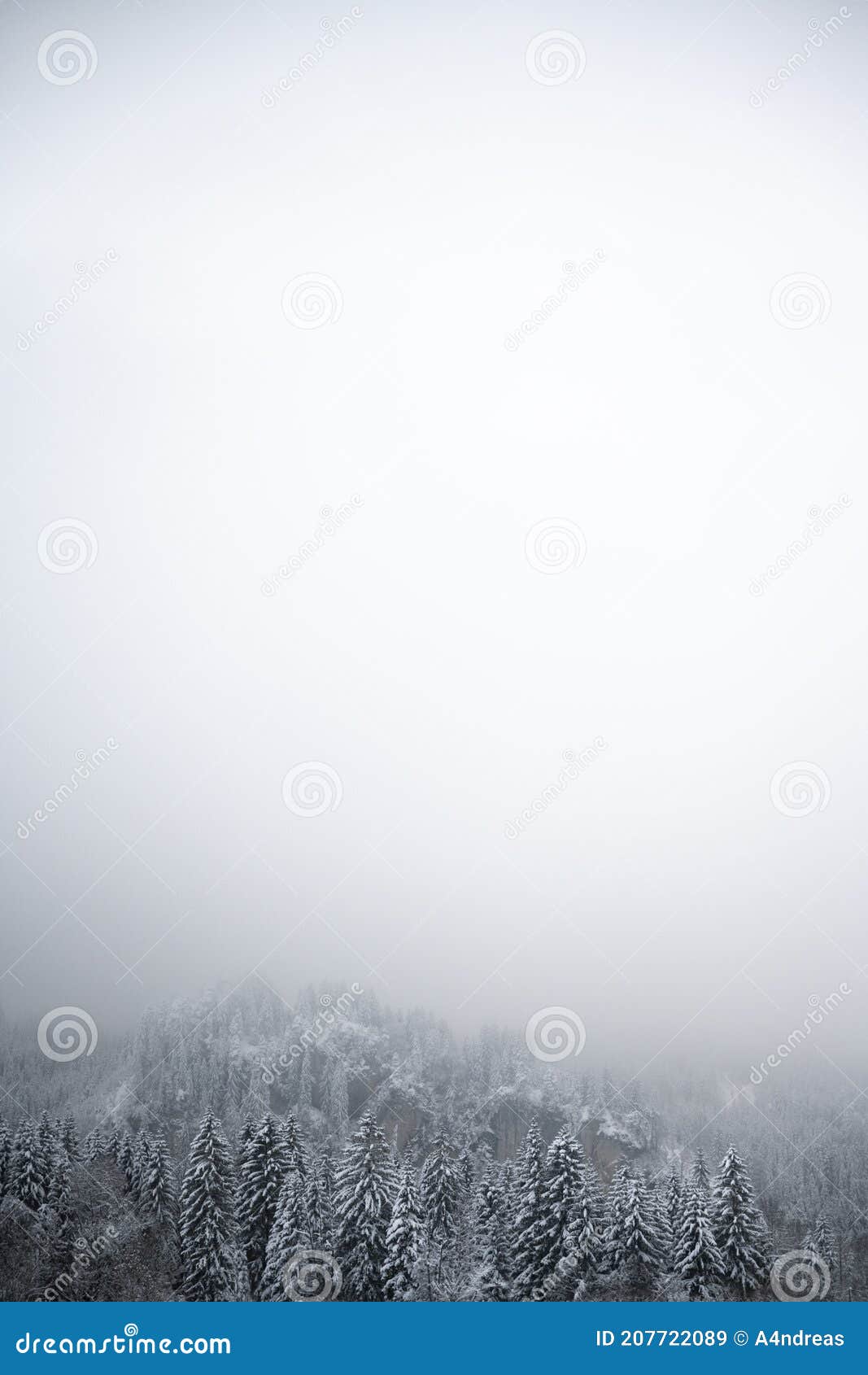 Vertical Background with Snow Covered Forest Trees with Foggy Gradient ...