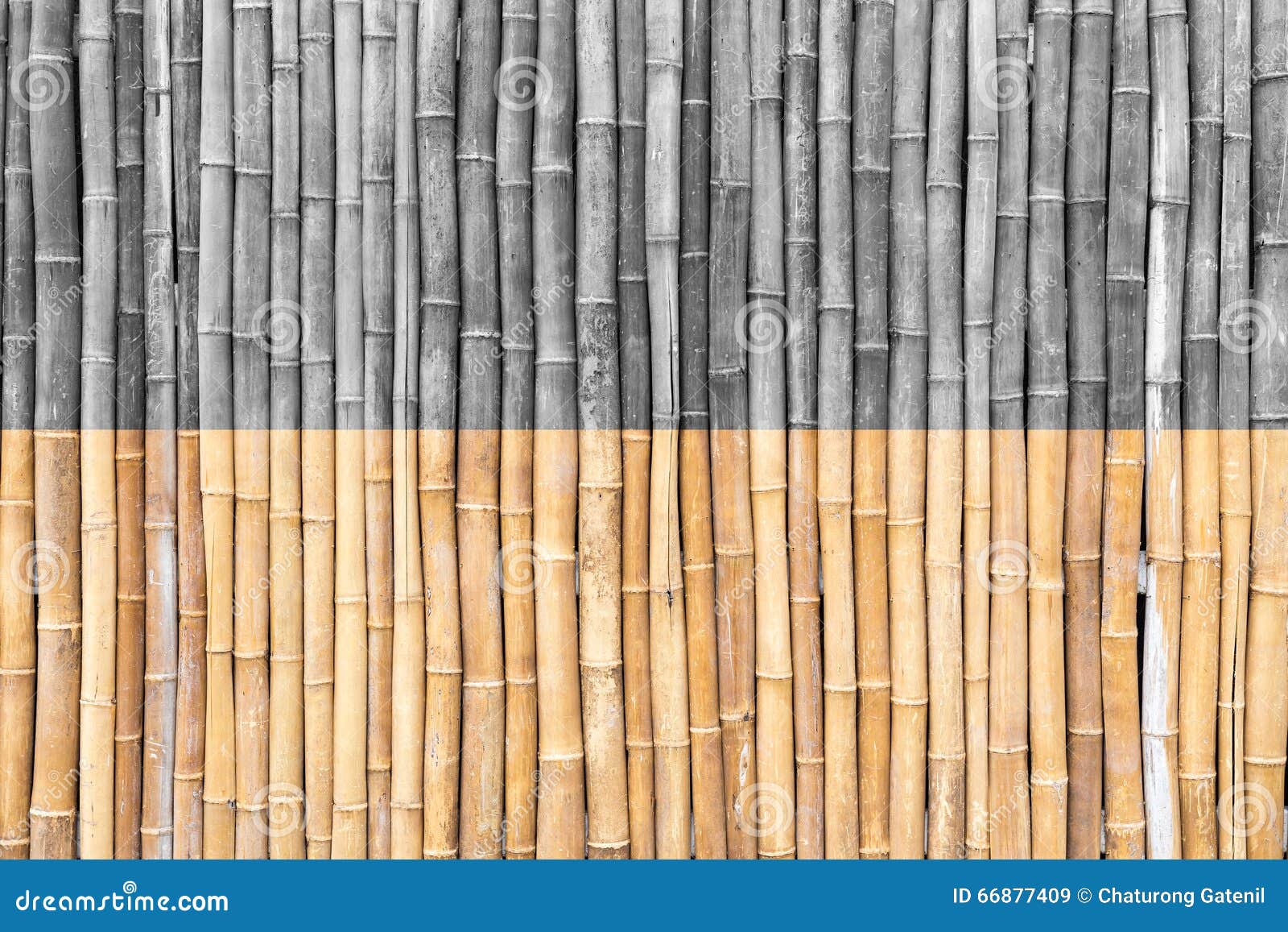 Vertical bamboo background stock image. Image of line - 66877409