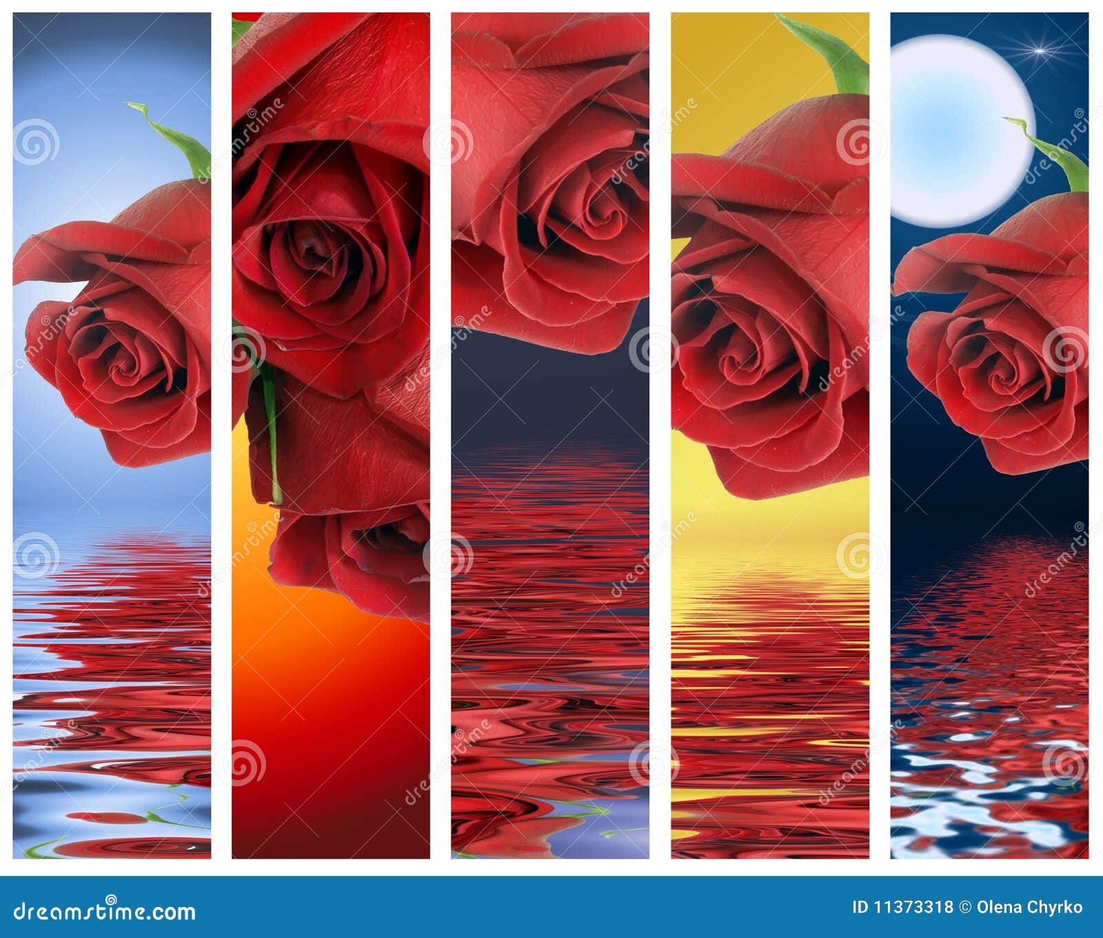 Vertical Banners with Red Roses Stock Illustration - Illustration of ...