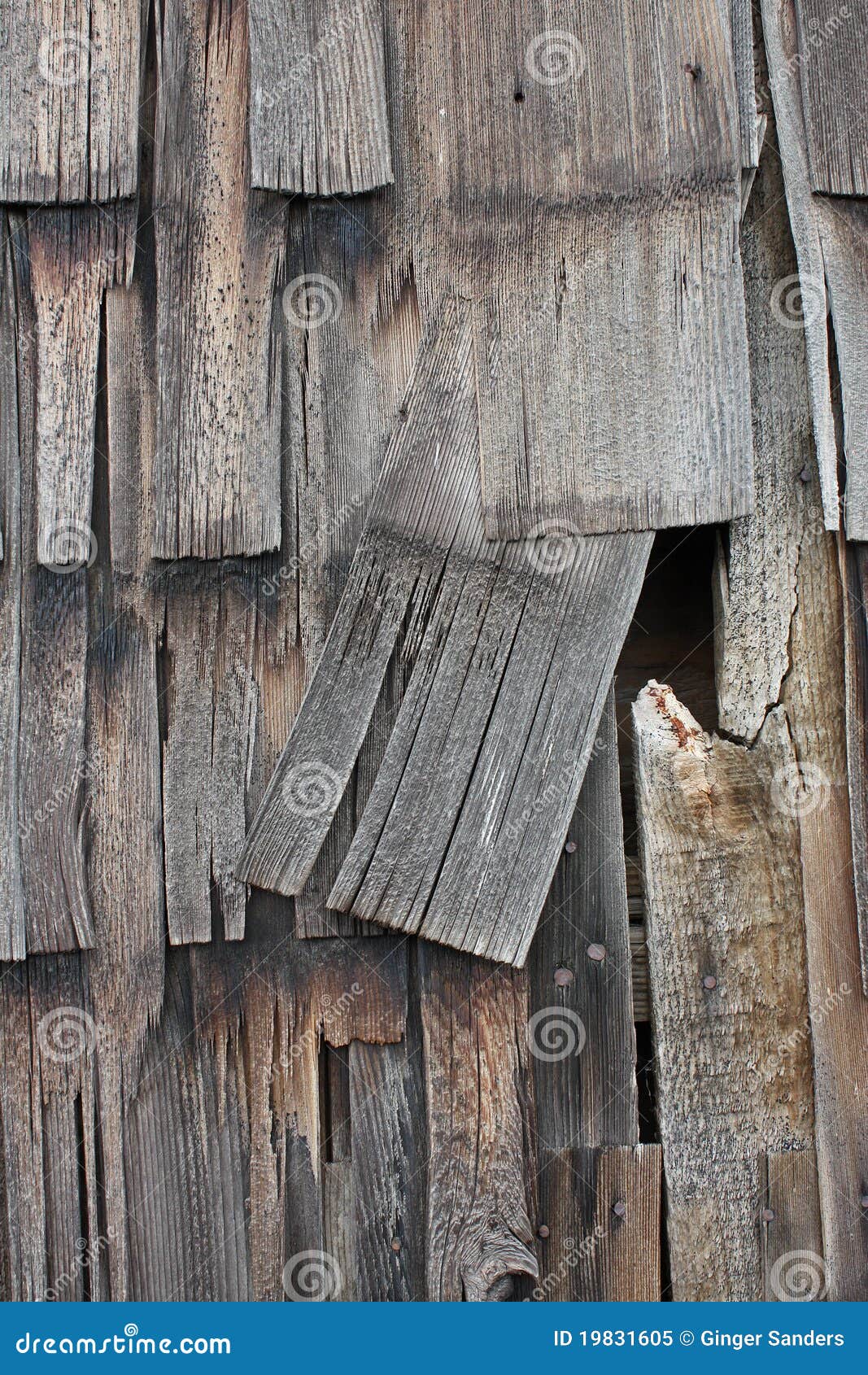 Vertical Barn Wood Shingles Stock Image - Image of lumber, background ...