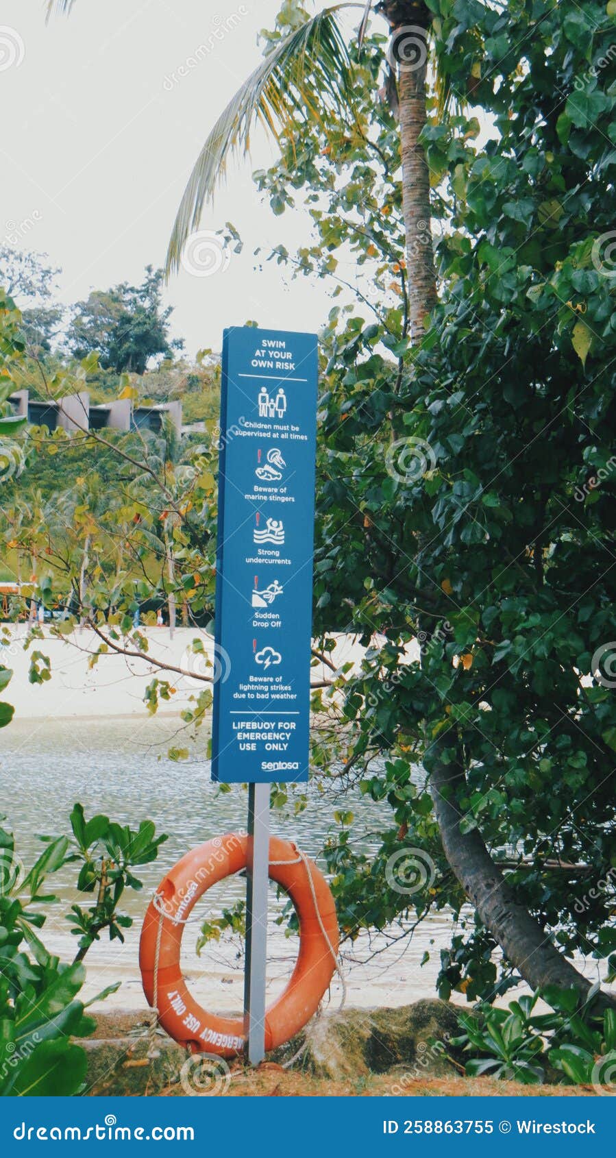 Vertical of a Beach Safety Guide on an Outdoors Banner and a Lifebuoy ...