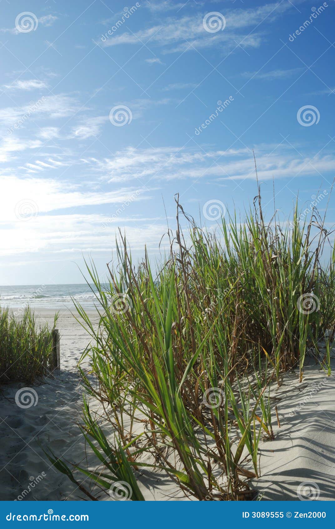 Vertical Beach sand dunes stock image. Image of relaxation - 3089555