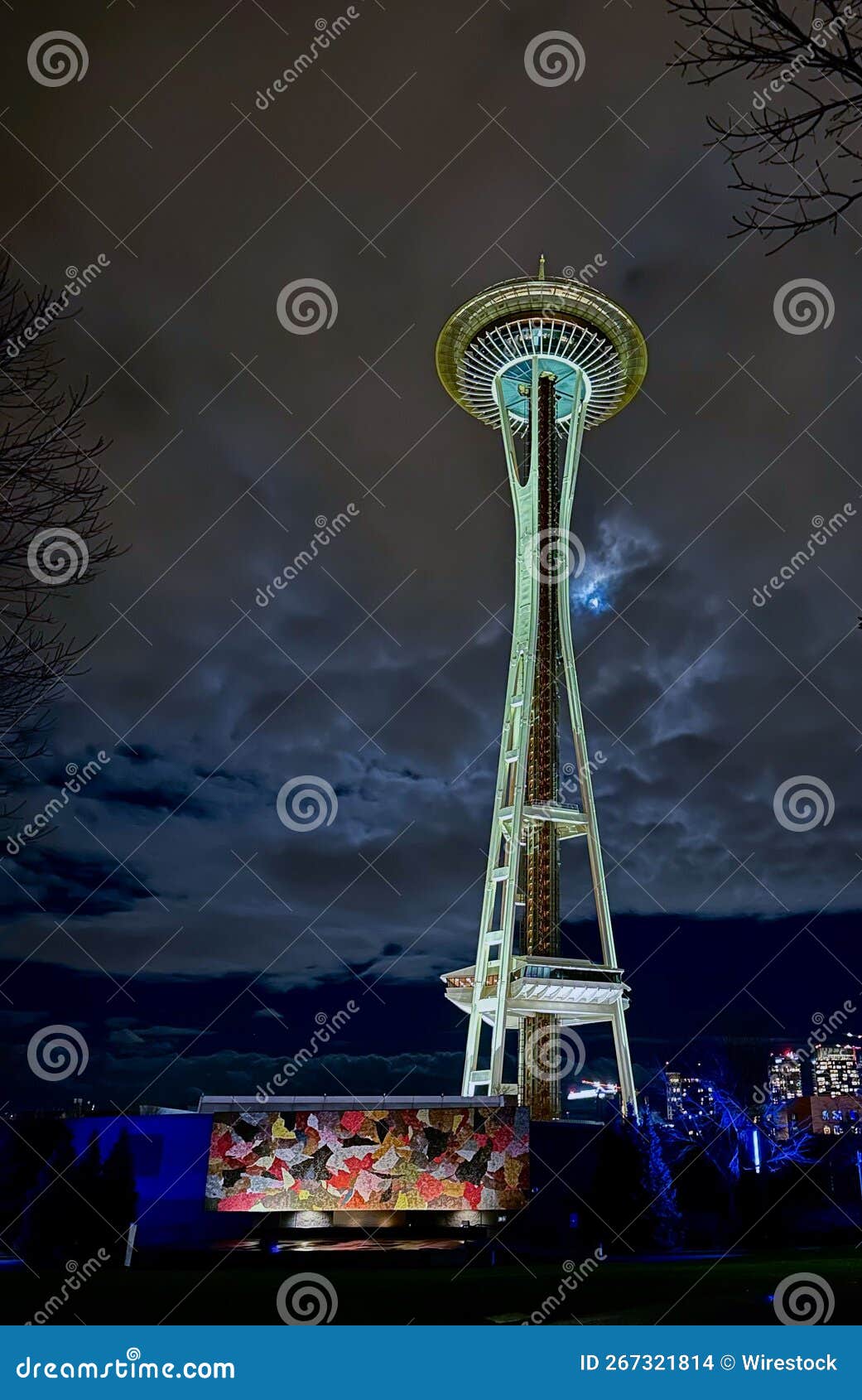 Vertical of the Beautiful Space Needle Tower at Night Under the Cloudy ...