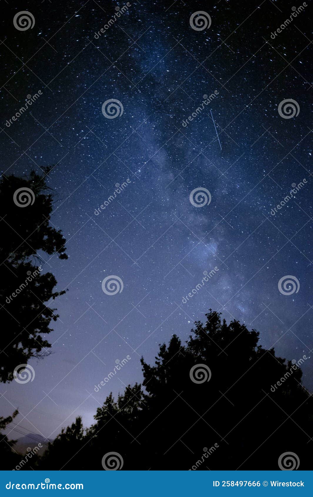 Vertical of a Beautiful Starry Sky and the Silhouettes of the Trees ...