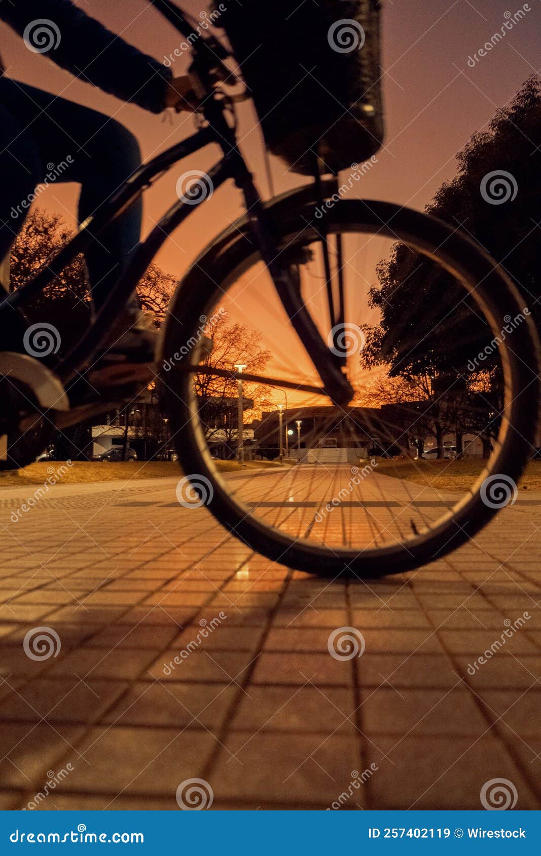 Vertical of a Bicycle Wheel at Sunset. Stock Image - Image of sunset ...