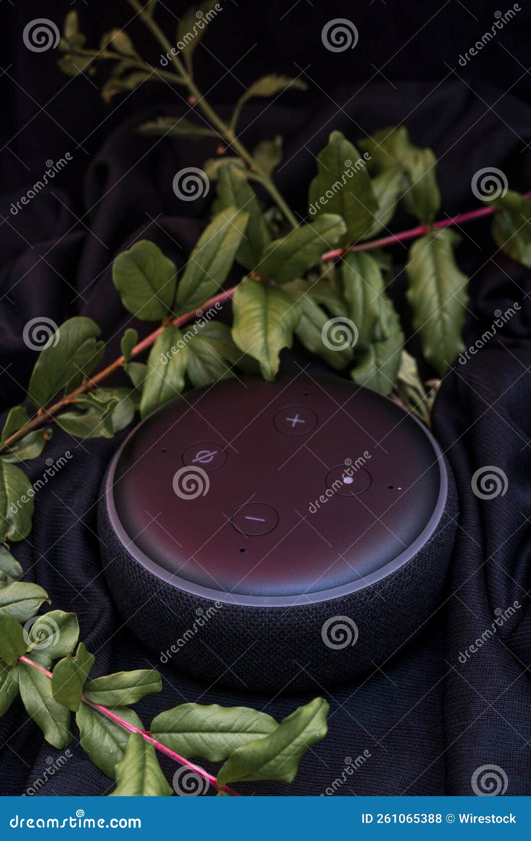 Vertical of the Black Amazon Echo Dot Isolated on a Black Background ...