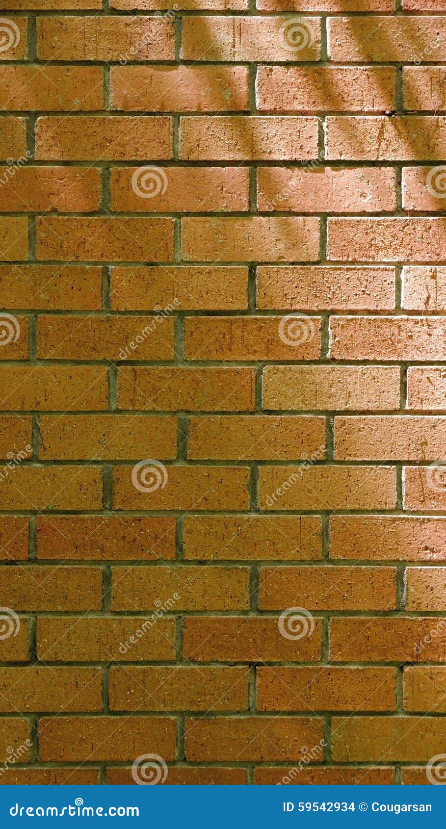 Vertical brick wall stock photo. Image of exterior, texture - 59542934