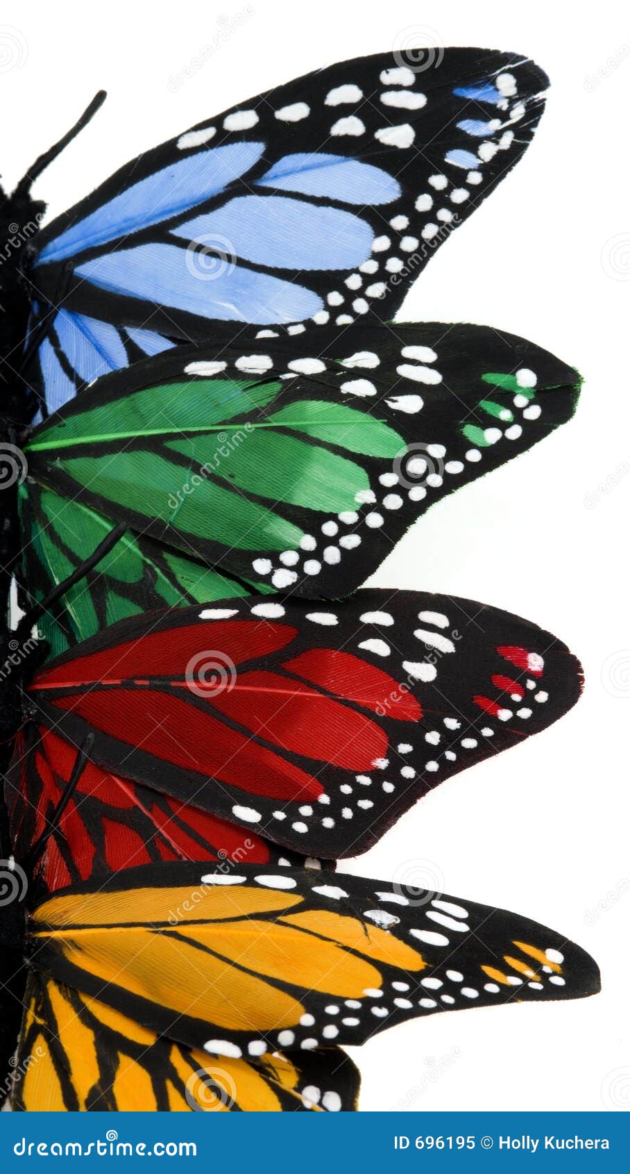 Vertical Butterfly Stack - Right Wings Stock Image - Image of spots ...
