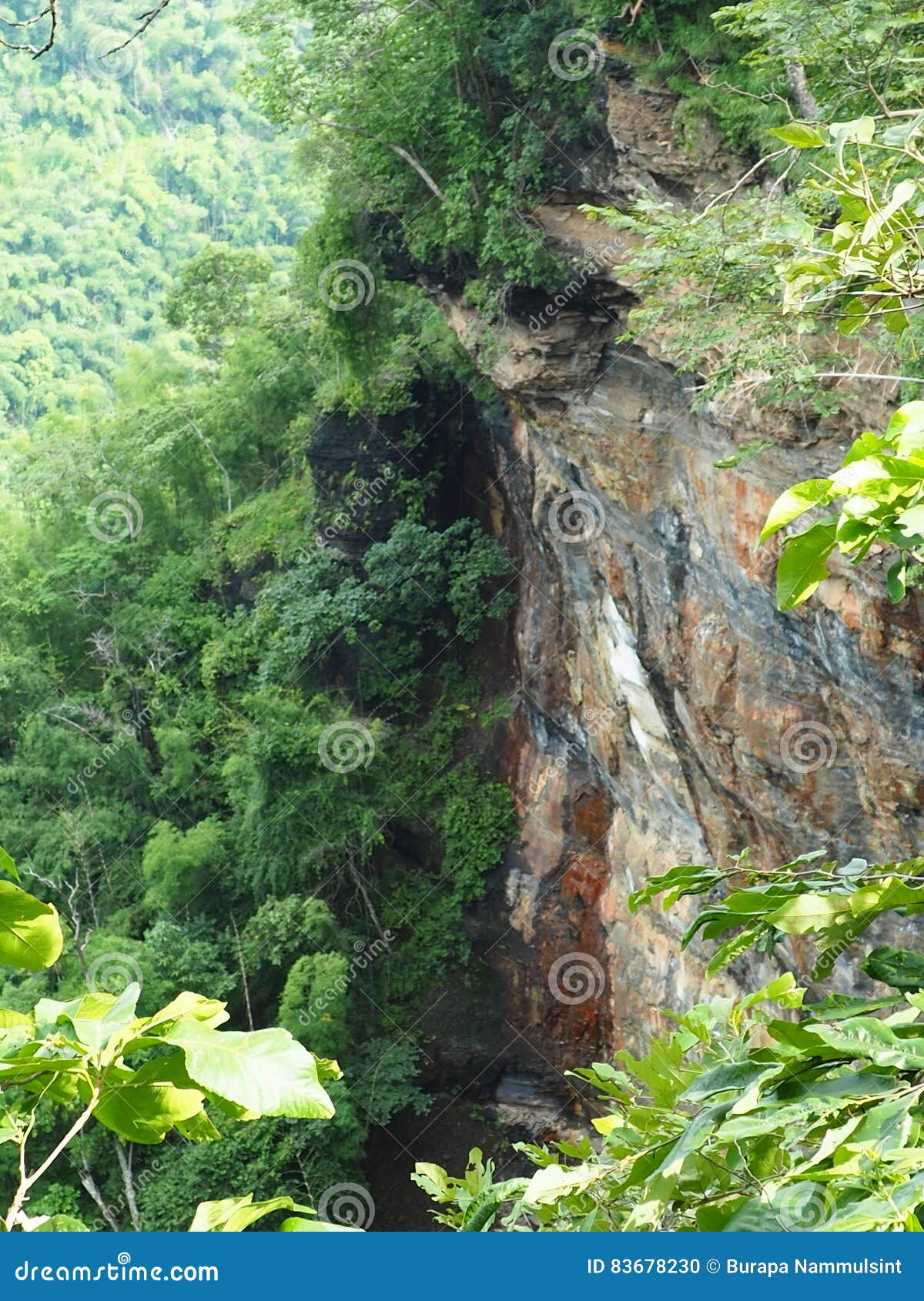 Vertical cliff wall stock photo. Image of beautiful, wall - 83678230