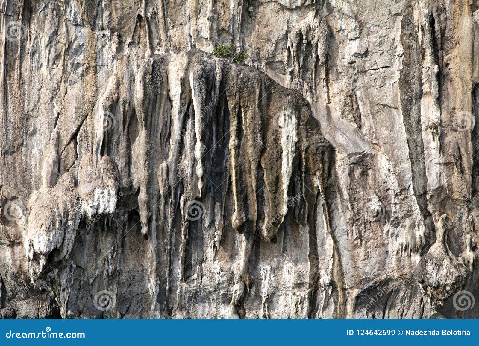 Vertical cliff wall stock image. Image of bumpy, eroded - 124642699