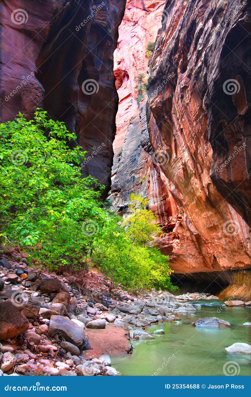 Vertical Cliffs of the Zion Narrows Stock Photo - Image of motion ...