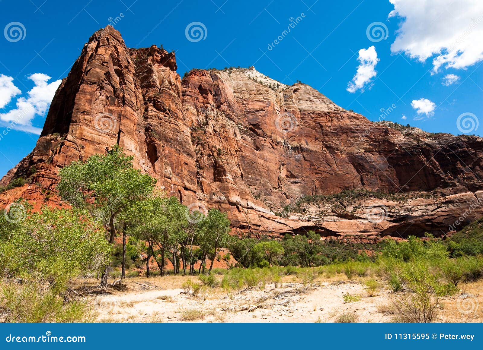 Vertical Cliffs in Zion National Park Stock Image - Image of sandstone ...