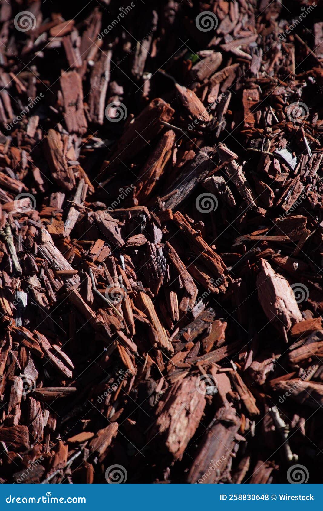 Vertical Close-up Shot of Mulch Texture Stock Illustration ...