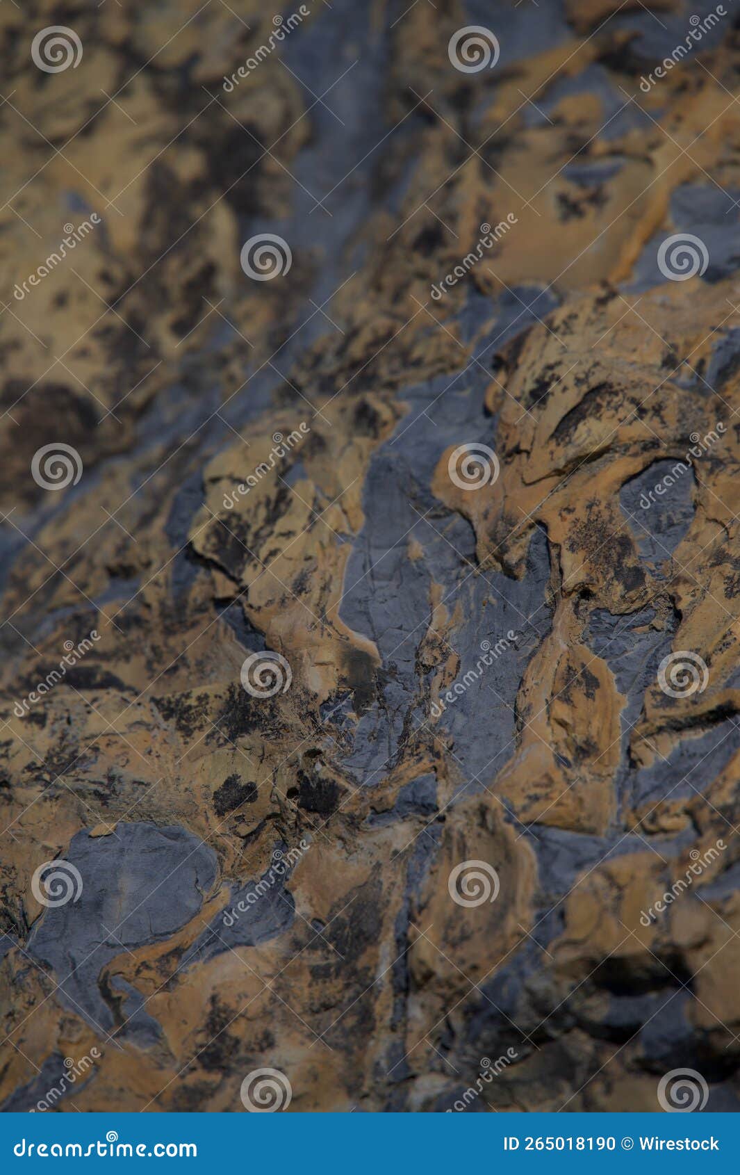Vertical Close-up of Spartacus Granite Texture Stock Photo - Image of ...
