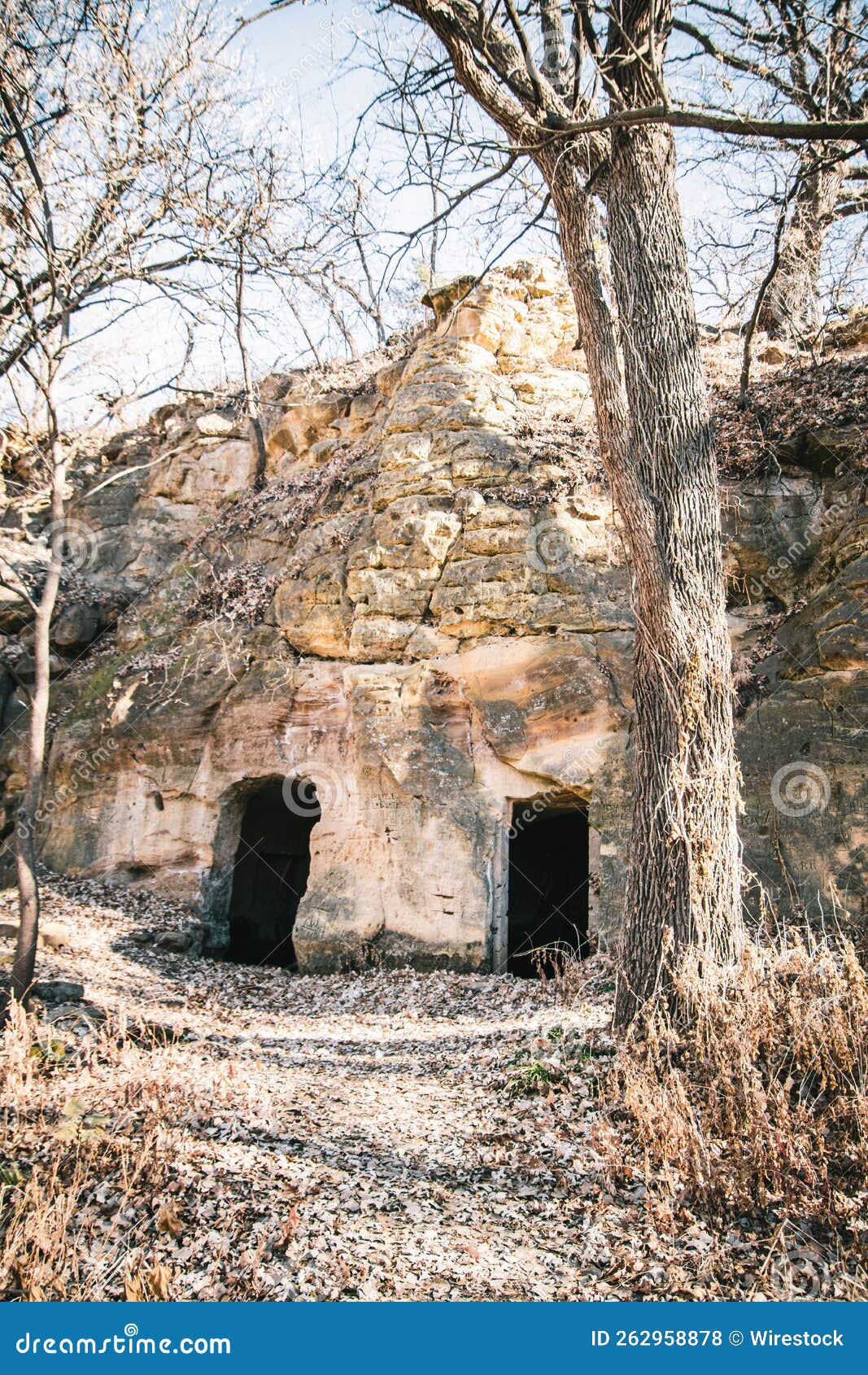 Vertical Closeup of an Abandoned Destroyed Hut Deciduous Trees Sunlit ...
