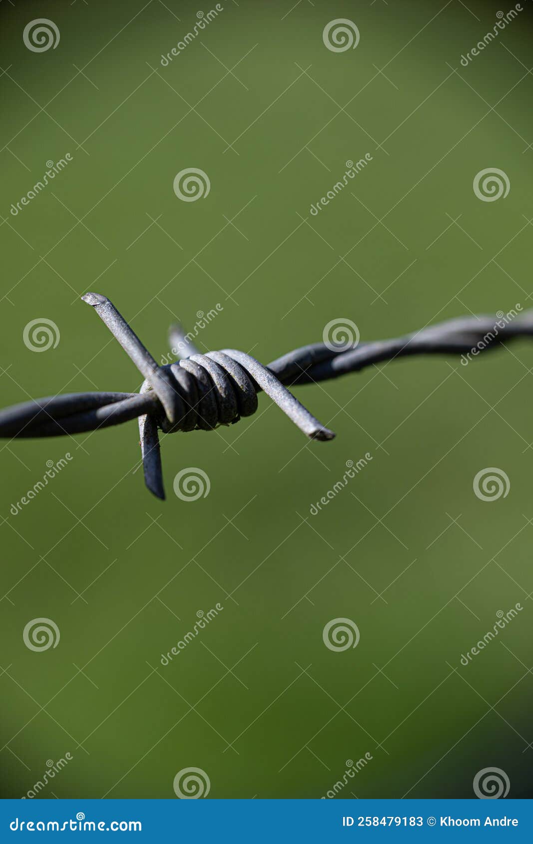 Vertical Closeup of a Barbed Wire on a Green Background Stock Image ...